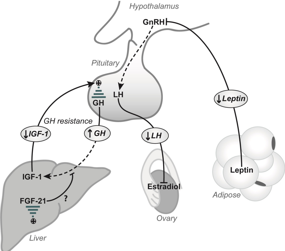 FAZELI LAB | University of Pittsburgh